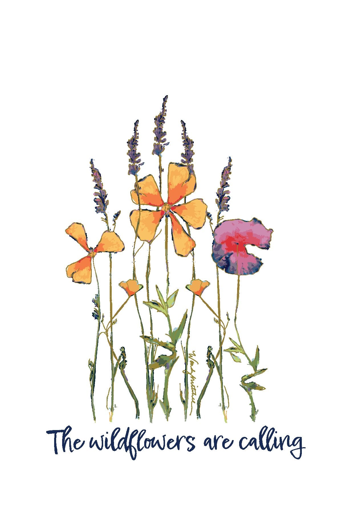 Wildflower Collection – Wendy Mitchell Art